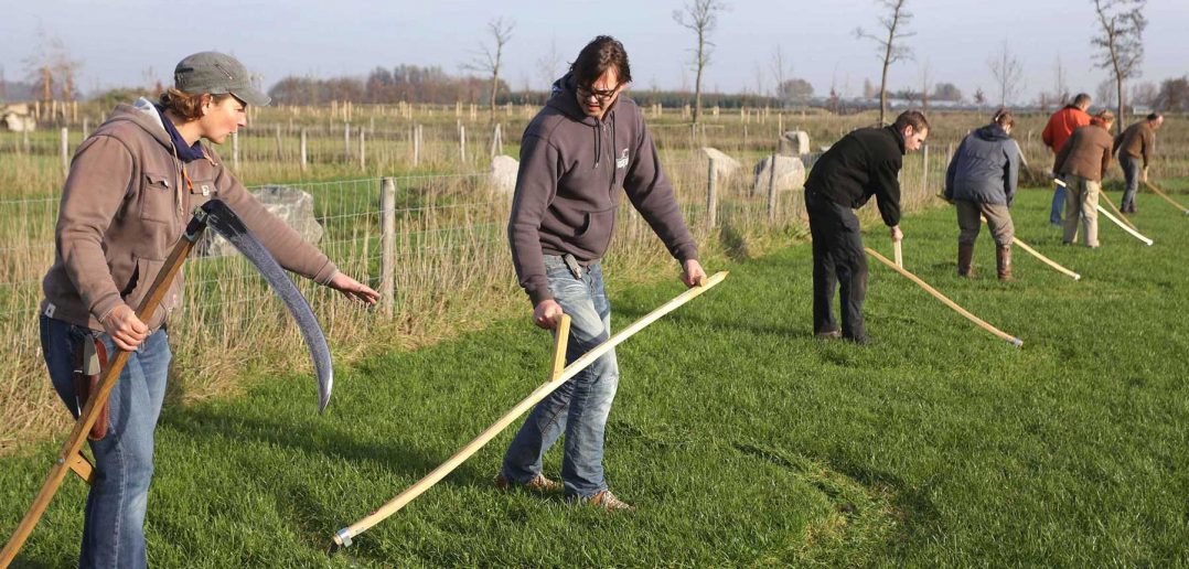 Werken met de zeis - ERGroeit 2017